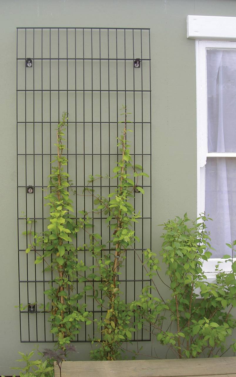 Jacksons Metal Trellis – George-Stone Gardens