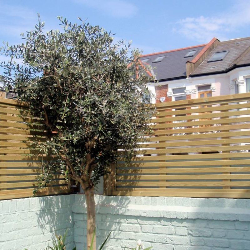 Jacksons Venetian Fencing Panels : George-Stone Gardens