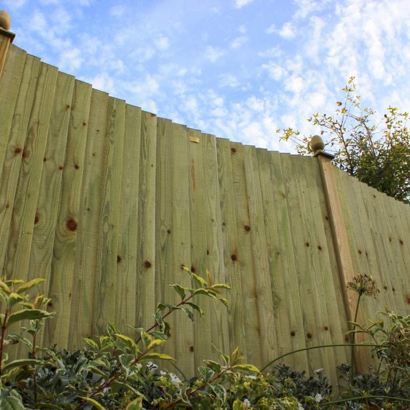 Jacksons Featherboard Concave Fence Panels : George-Stone Gardens