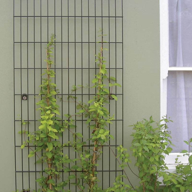 Jacksons Metal Trellis : George-Stone Gardens