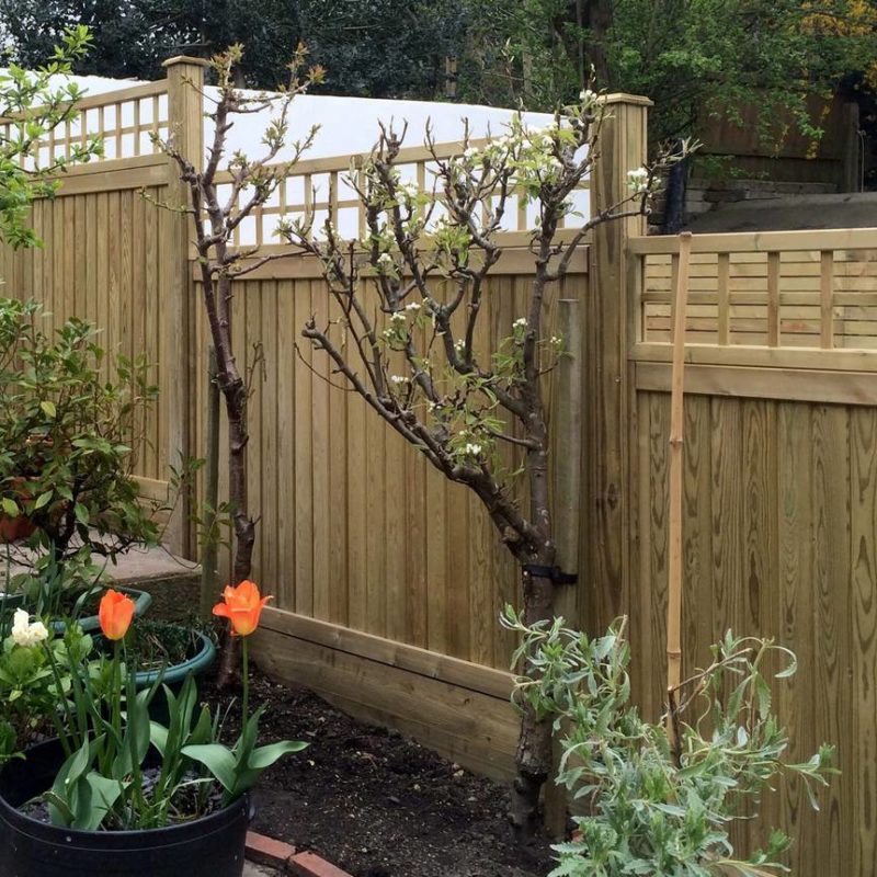 Jacksons Premier Square Trellis Panels : George-Stone Gardens