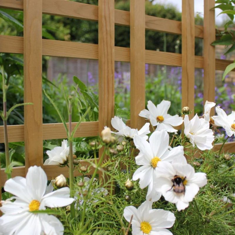 Jacksons Premier Tartan Trellis Panels : George-Stone Gardens