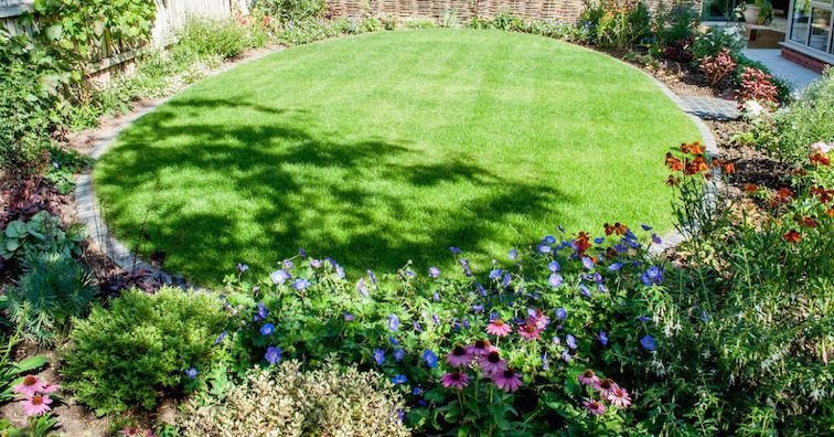 Stunning Plants to Create a Summer Garden Paradise